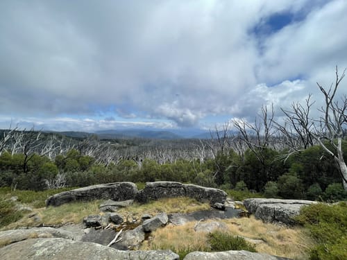 2023 Best Mountain Biking Trails in Yarra Ranges National Park | AllTrails