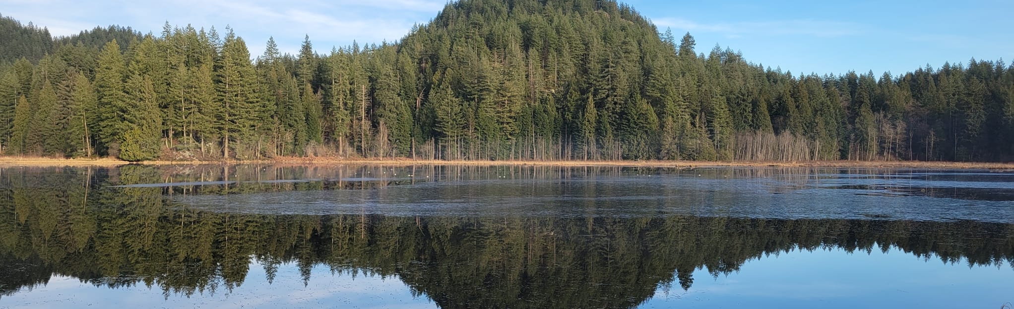 Addington Lookout, High Knoll, Lodge, Fern and Quarry Loop, British ...