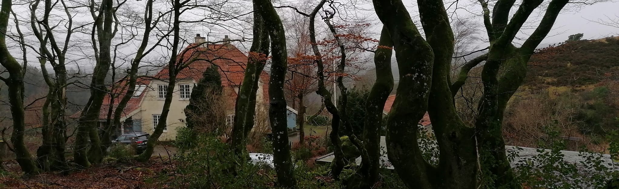 Velling Skov via Vorretvej | Map, Guide - Central Denmark, Denmark ...