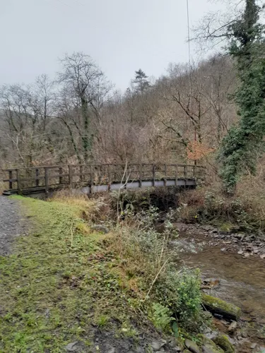 Best Hikes and Trails in Cwm Clydach Nature Reserve | AllTrails