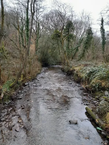 Best Hikes and Trails in Cwm Clydach Nature Reserve | AllTrails
