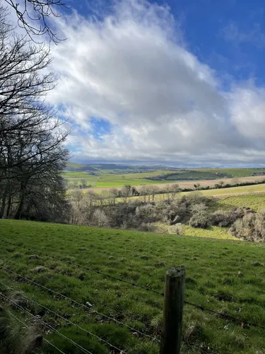 10 Best Hikes and Trails in Martin Down National Nature Reserve | AllTrails