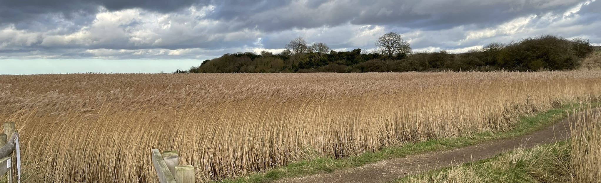 Burgh Castle and River Waveney: 76 Reviews, Map - Norfolk, England ...