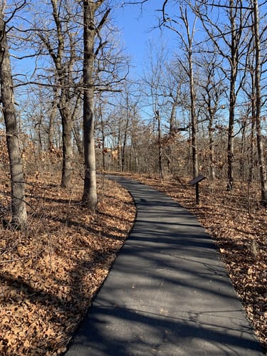 2023 Best trails in Keystone Ancient Forest | AllTrails