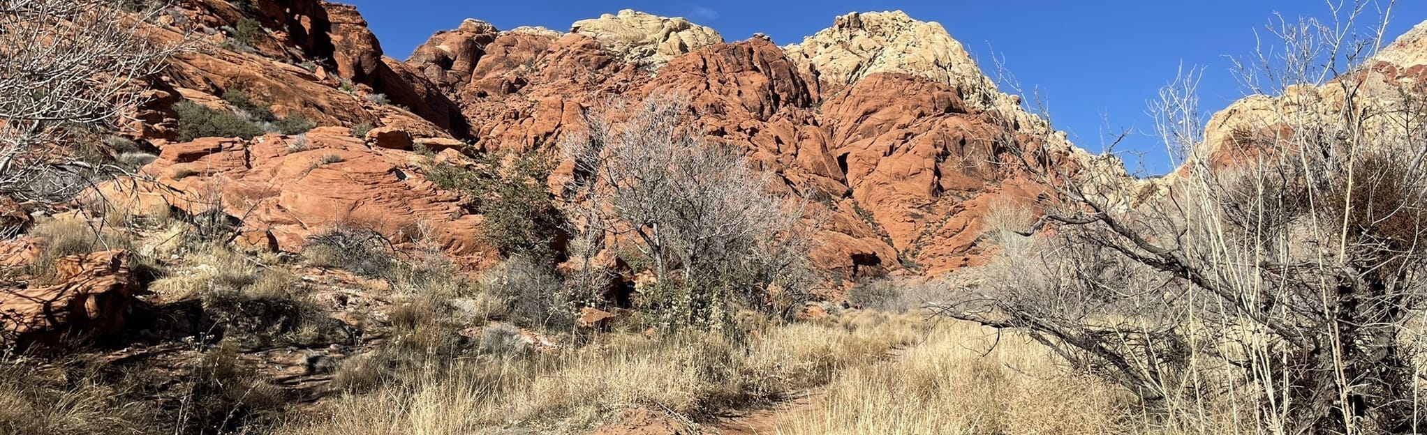 Girl Scout and Ash Spring Loop, Nevada - 280 Reviews, Map | AllTrails