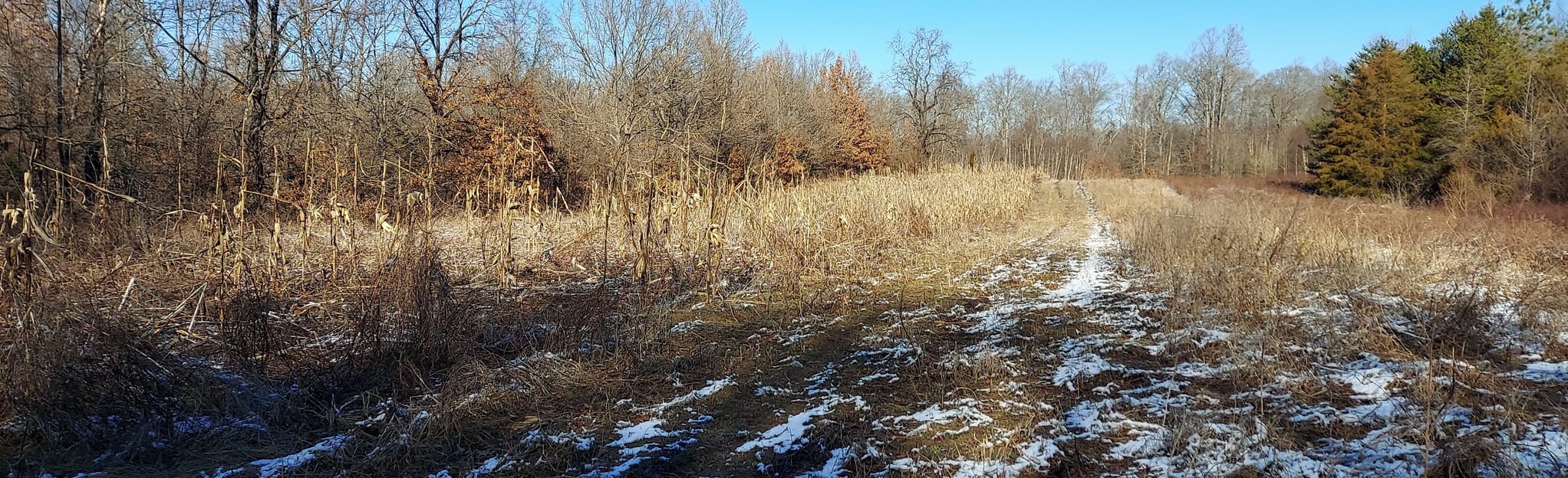 White Oak Mountain WMA Loop | Map, Guide - Virginia | AllTrails