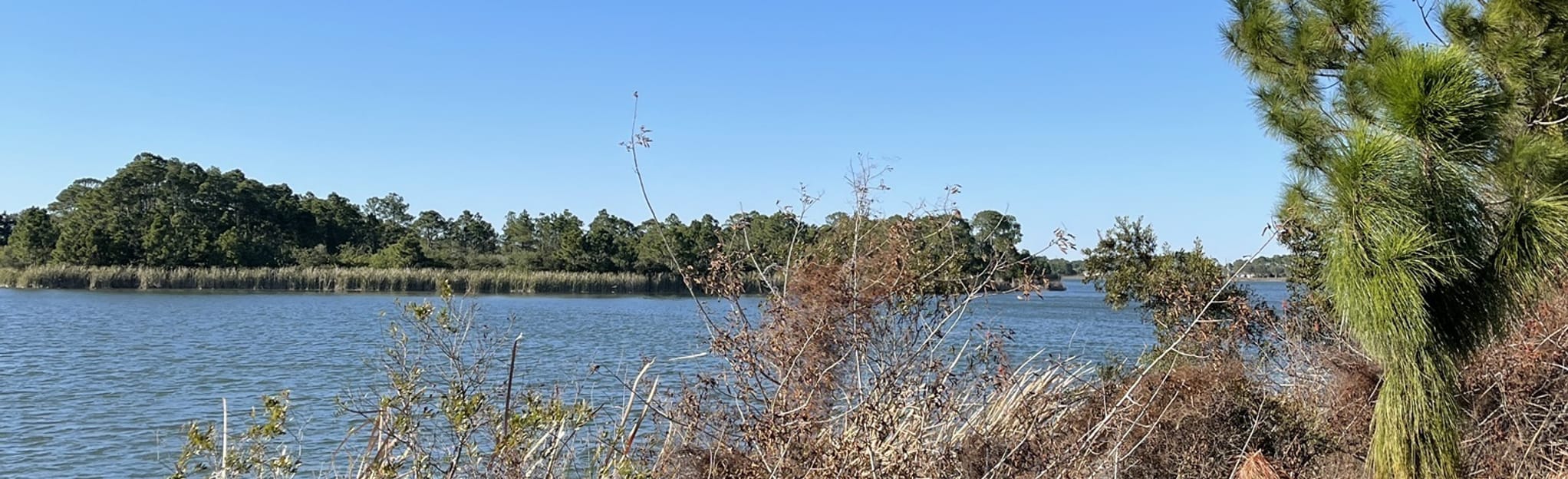 Peacock Lake Loop - Florida | AllTrails