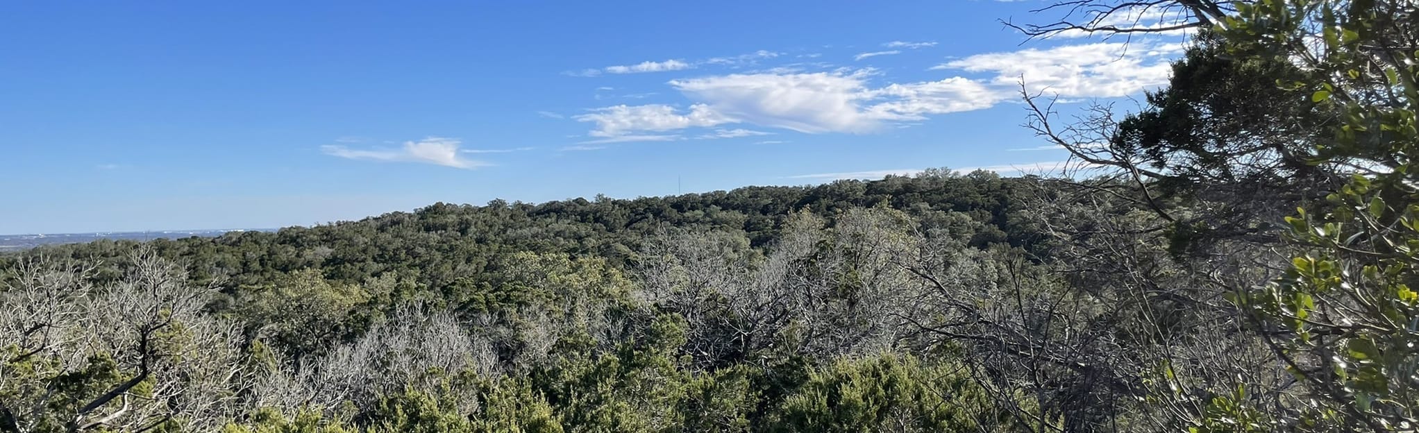 Wildcat Canyon and Far Reaches Loop Trail, Texas - 283 Reviews, Map ...