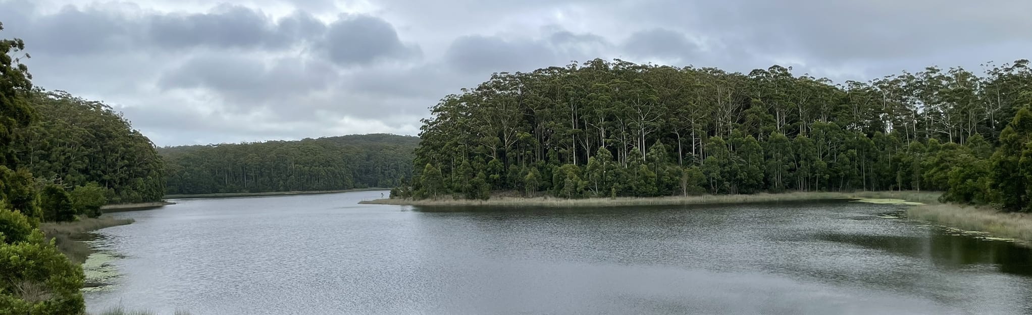 Yandina Five O: 2022 Route, Queensland, Australia - 17 Reviews, Map ...