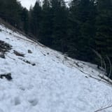 Wyeth to Gorge Trail, Oregon - 179 Reviews, Map | AllTrails