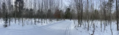 10 Best Hikes and Trails in Au Sable State Forest | AllTrails