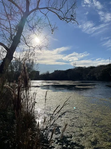 Best Easy Trails in Spring Lake Preserve | AllTrails