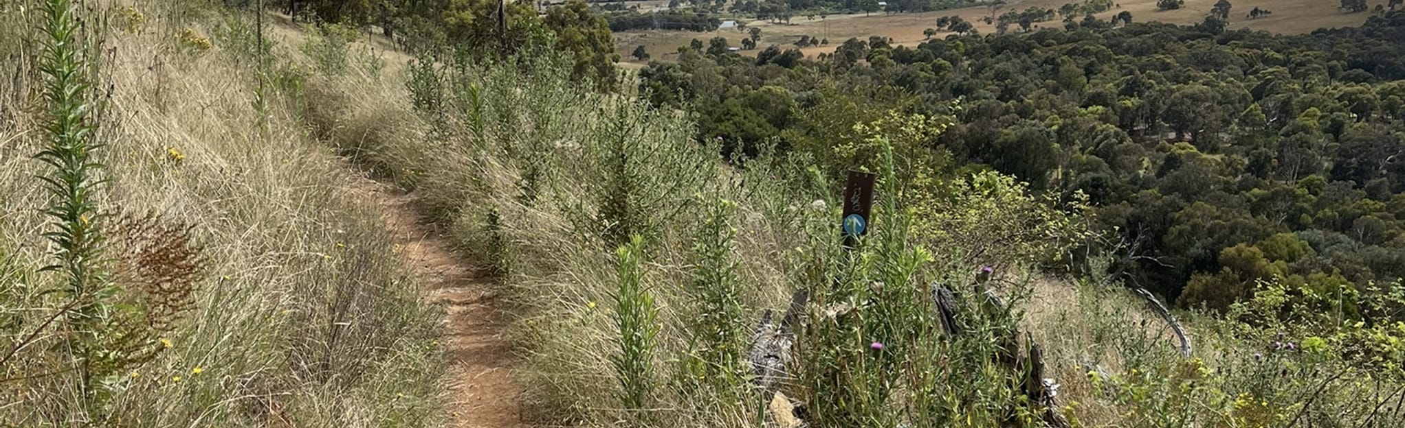 One Tree Hill Lookout via Harry Seidler Crescent: 158 Fotos ...