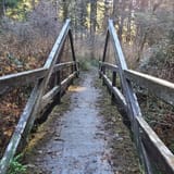 Miner's Ridge Trail, Clintonia Trail, and Gold Bluffs Beach Loop ...