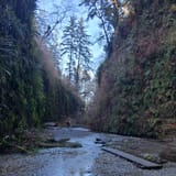 Miner's Ridge Trail, Clintonia Trail, and Gold Bluffs Beach Loop ...