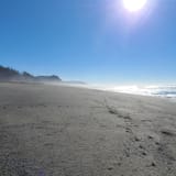 Miner's Ridge Trail, Clintonia Trail, and Gold Bluffs Beach Loop ...