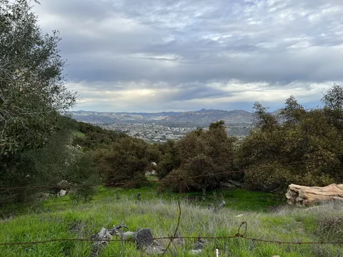 Best Forest Trails in Crestridge Ecological Reserve | AllTrails