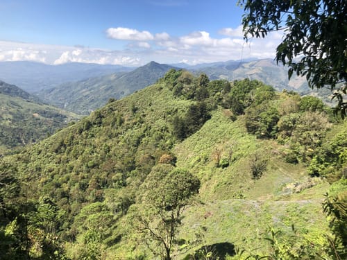 Best Hikes and Trails in Cloudbridge Nature Reserve | AllTrails