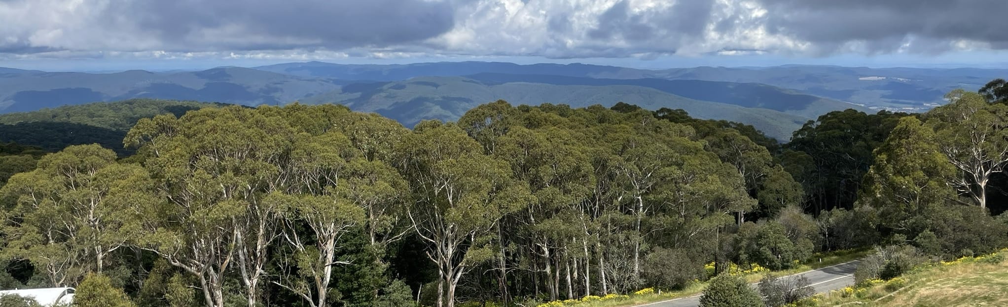 Mount Donna Buang Summit Loop, Victoria, Australia - 15 Reviews, Map ...