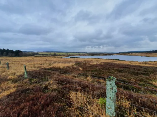 2023 Best Trails, Walks, and Paths in Ulfborg | AllTrails