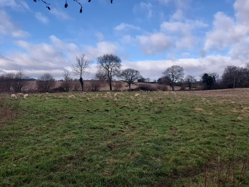 10 Best Hikes and Trails in Dedham Vale National Landscape (AONB ...