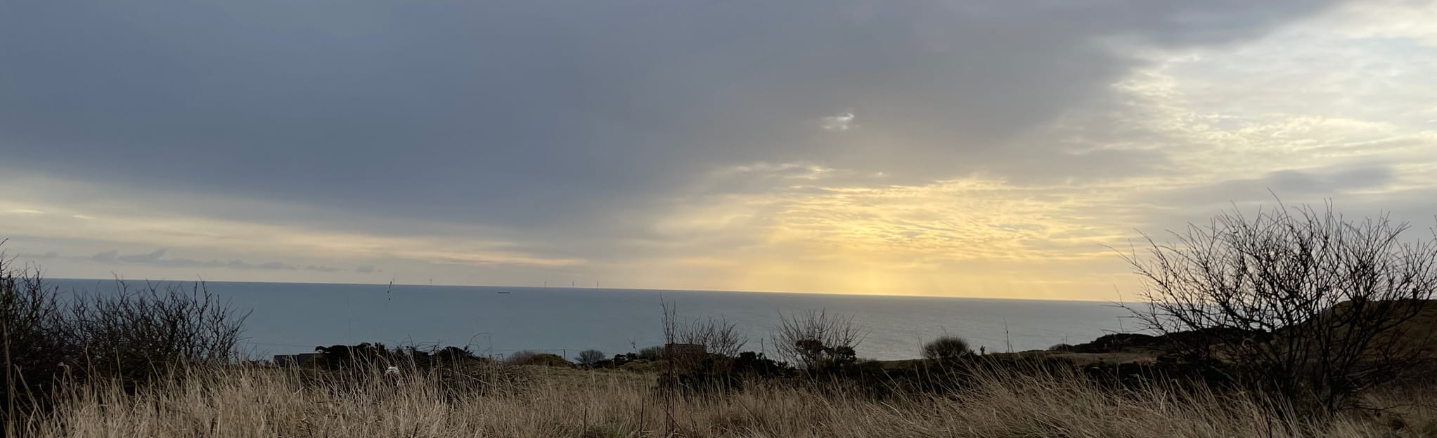 Cove Woodland Walk, Aberdeen, Scotland - 29 Reviews, Map | AllTrails