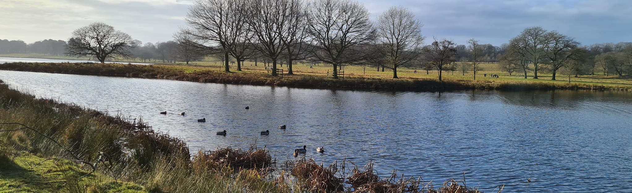 Tatton Park Circular: 157 Reviews, Map - Cheshire, England | AllTrails