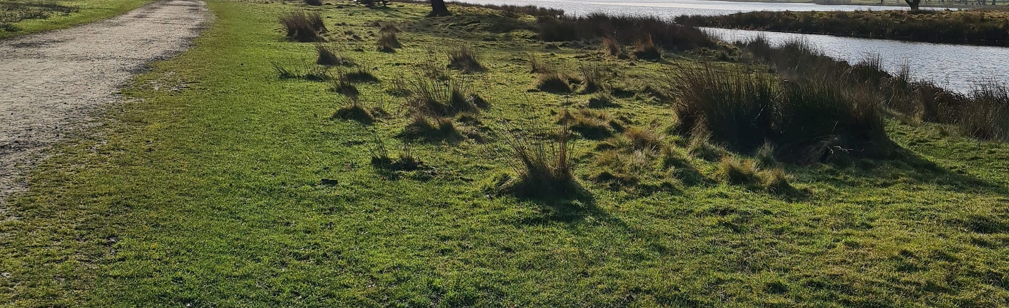 Tatton Park and Mere via Millennium Wood, Cheshire, England - 64 ...