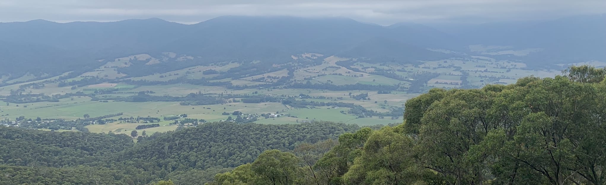 Tawonga Gap Track: 5 Reviews, Map - Victoria, Australia | AllTrails
