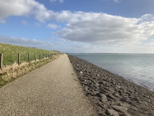 10 Best Forest Trails in Oosterschelde National Park | AllTrails