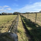 Thursley Common, Surrey, England - 109 Reviews, Map | AllTrails