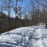 Decew Falls Loop, Ontario, Canada - 294 Reviews, Map | AllTrails