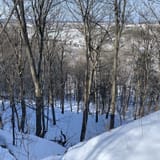 Decew Falls Loop, Ontario, Canada - 294 Reviews, Map | AllTrails