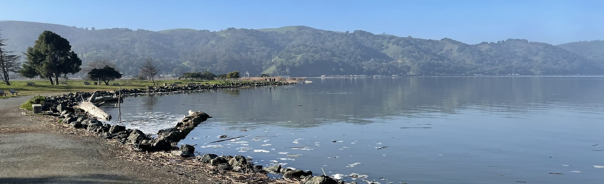 Duck Pond Trail : 81 Reviews, Map - California | AllTrails