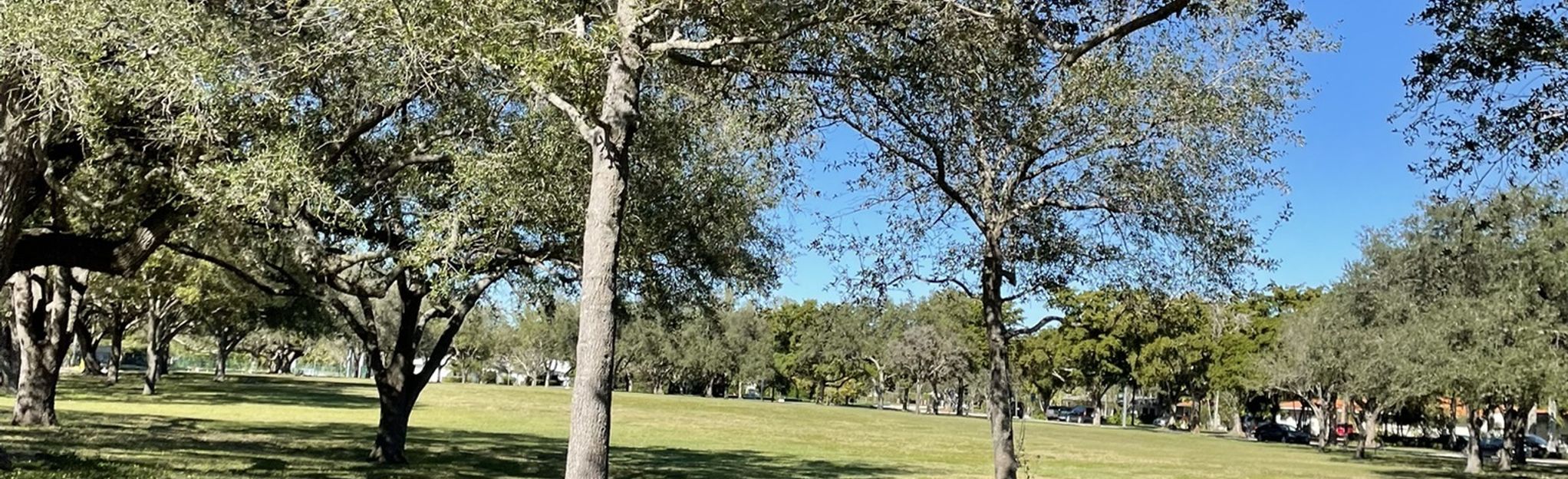 University of Miami Perimeter Path, Florida - 18 Reviews, Map | AllTrails