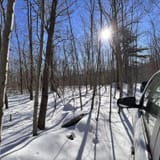 AOAA Green Trails Loop, Pennsylvania - 25 Reviews, Map | AllTrails