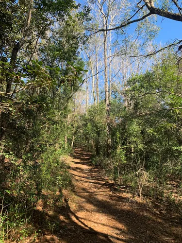 Best Hikes and Trails in Historic Blakeley State Park | AllTrails