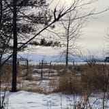 Alix Lake Nature Trail, Alberta, Canada - 62 Reviews, Map | AllTrails