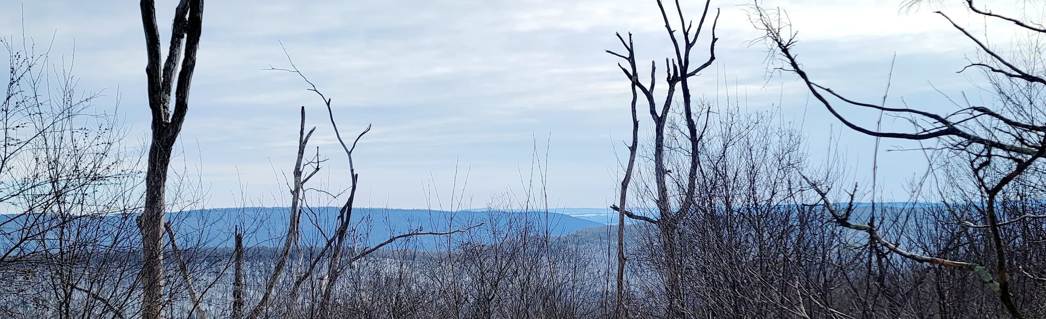 Boxcar Rock, Nevada - 17 Reviews, Map | AllTrails