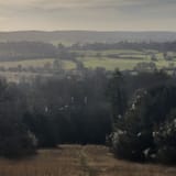 Gomshall Mill and Netley Park Circular, Surrey, England - 219 Reviews ...