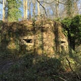 Gomshall Mill and Netley Park Circular, Surrey, England - 219 Reviews ...