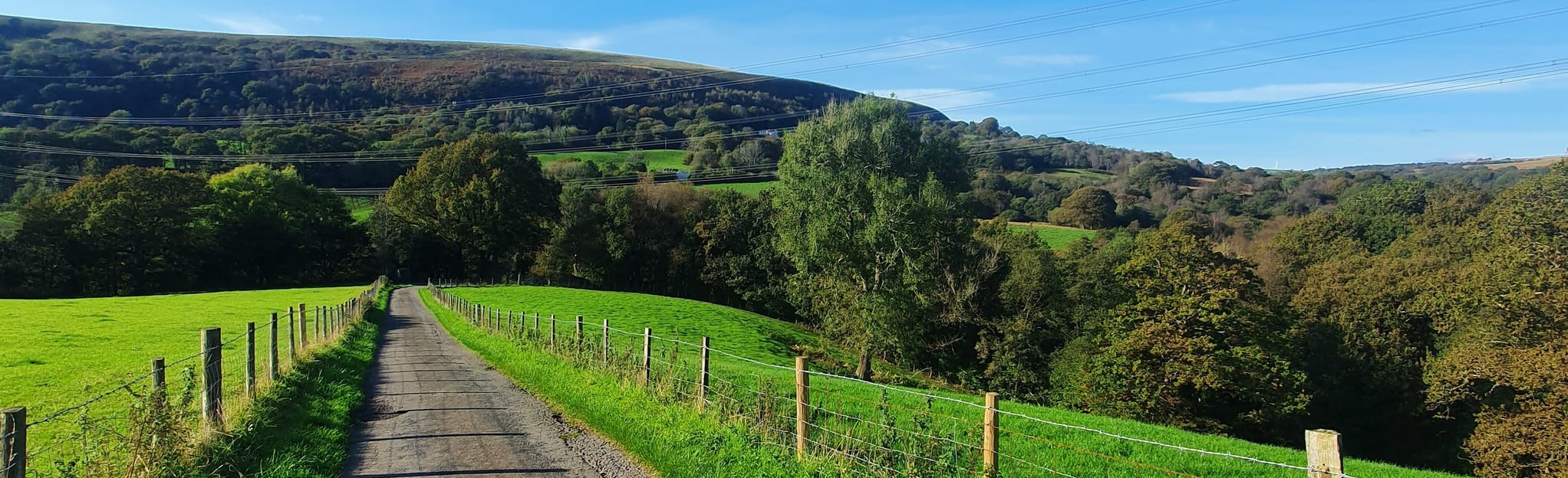 Cwm Clydach Nature Reserve Circular - Neath Port Talbot, Wales | AllTrails