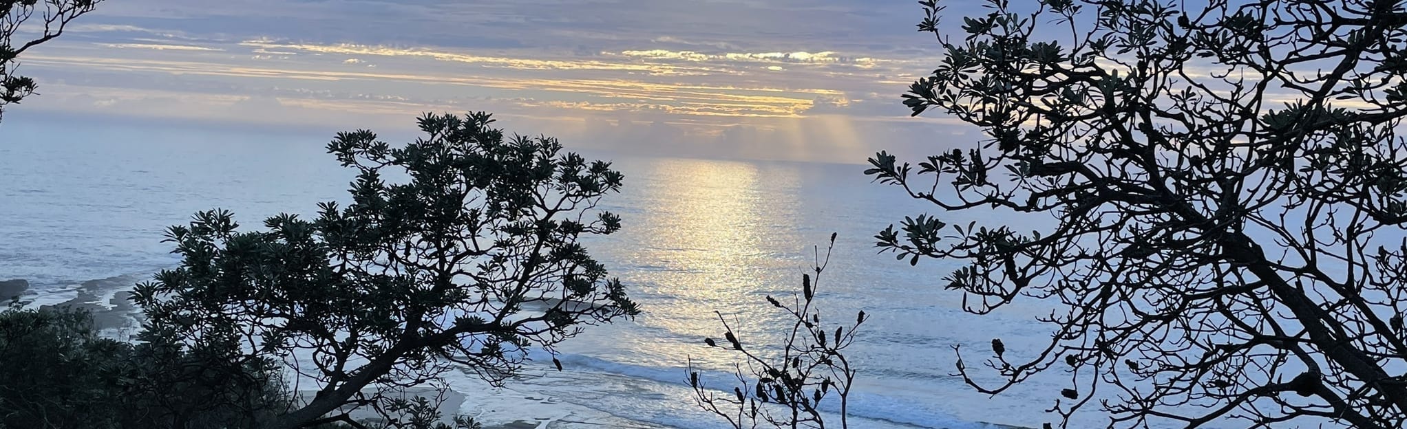 Dolphin Point Suburban Walk: 11 Reviews, Map - New South Wales ...