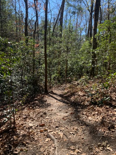 Historic Blakeley State Park: Die besten leichten Routen in 2023 ...