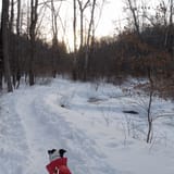 Genesee County Park and Forest Trail, New York - 284 Reviews, Map ...