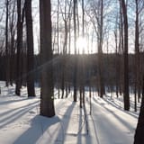 Genesee County Park and Forest Trail, New York - 284 Reviews, Map ...