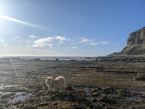 Best Hikes and Trails in San Ramon Reserve | AllTrails