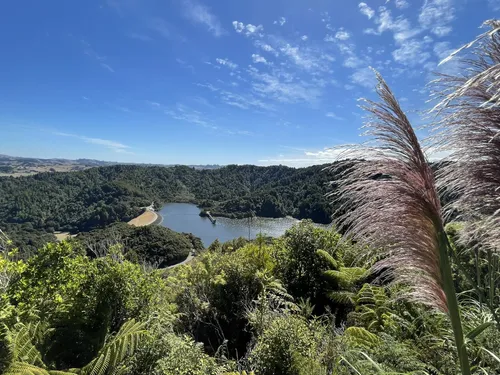 10 Best Walking Trails in Hunua Ranges Regional Park | AllTrails