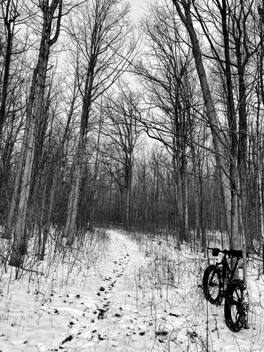 Best Hikes and Trails in Bickford Oak Woods Conservation Reserve ...