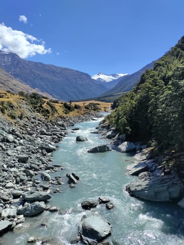 Best Trails in Naseby Forest | AllTrails